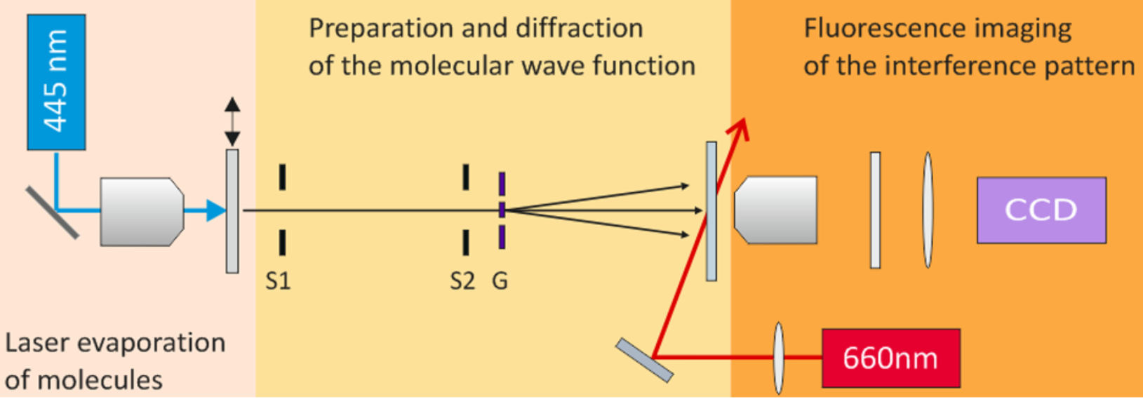 Single Molecule Fluorescence